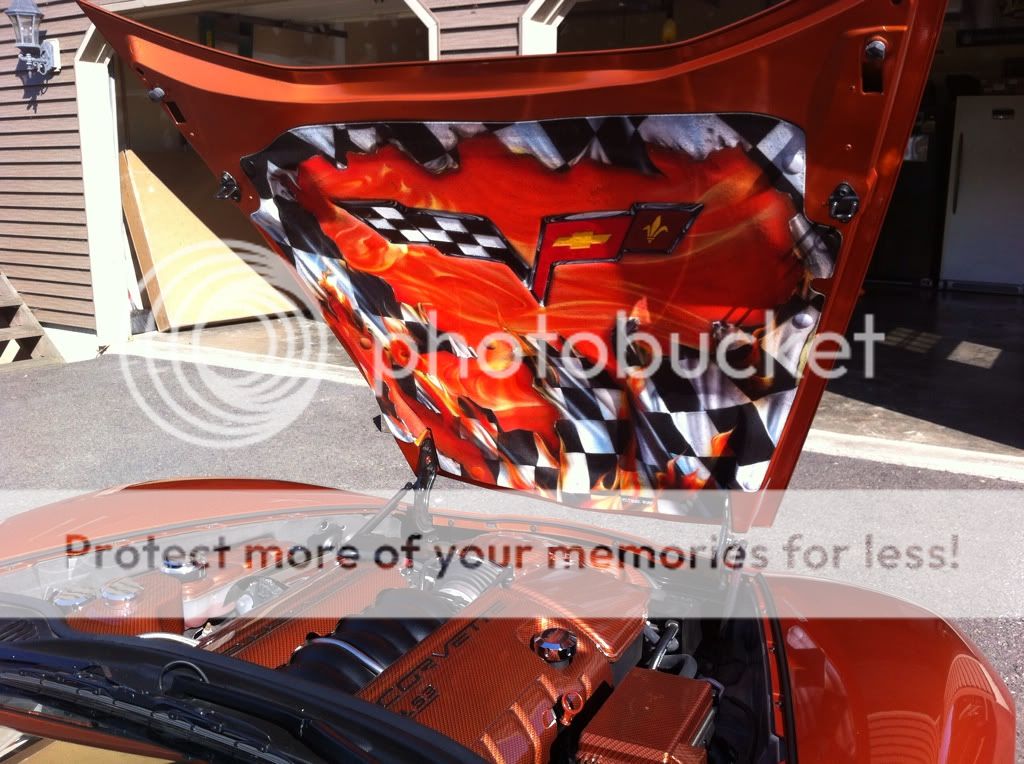 Just installed airbrushed hood liner. What do you think ...